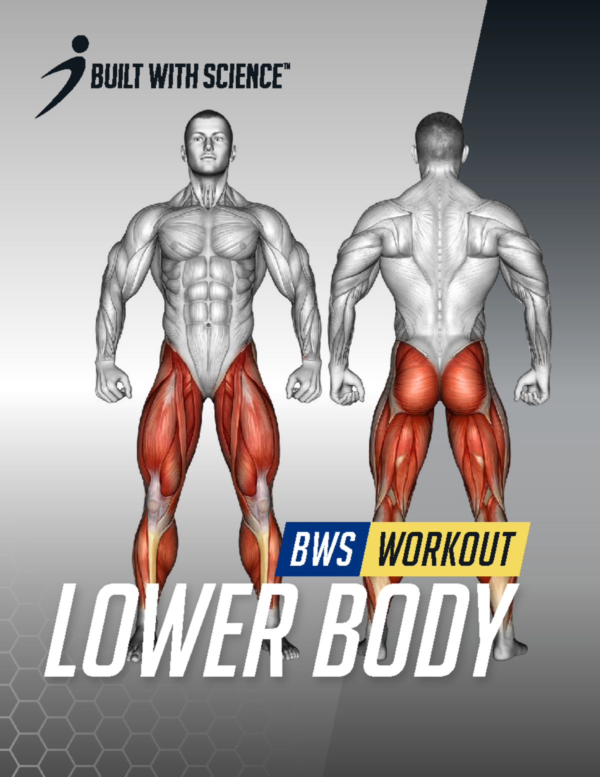 Built With Science Lower Body Workout - lower body bws workout Table of ...