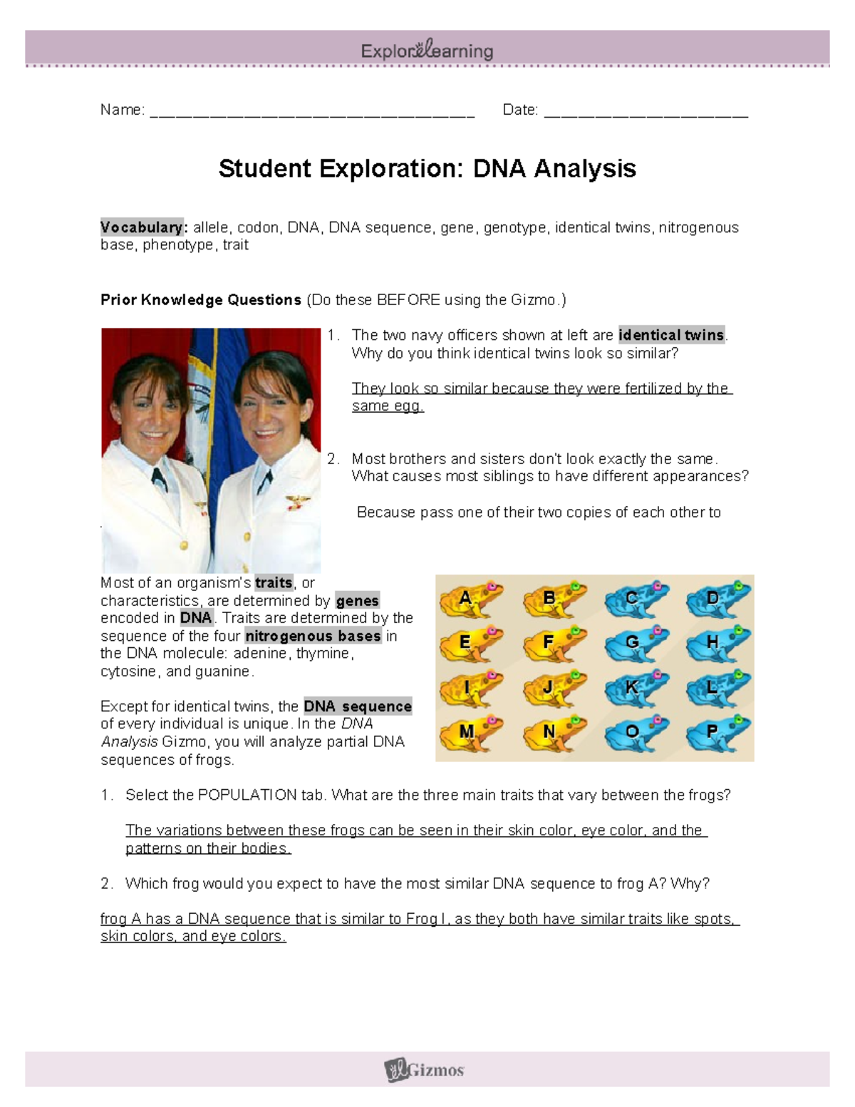DNA Analysis Gizmo - Name: ______________________________________ Date