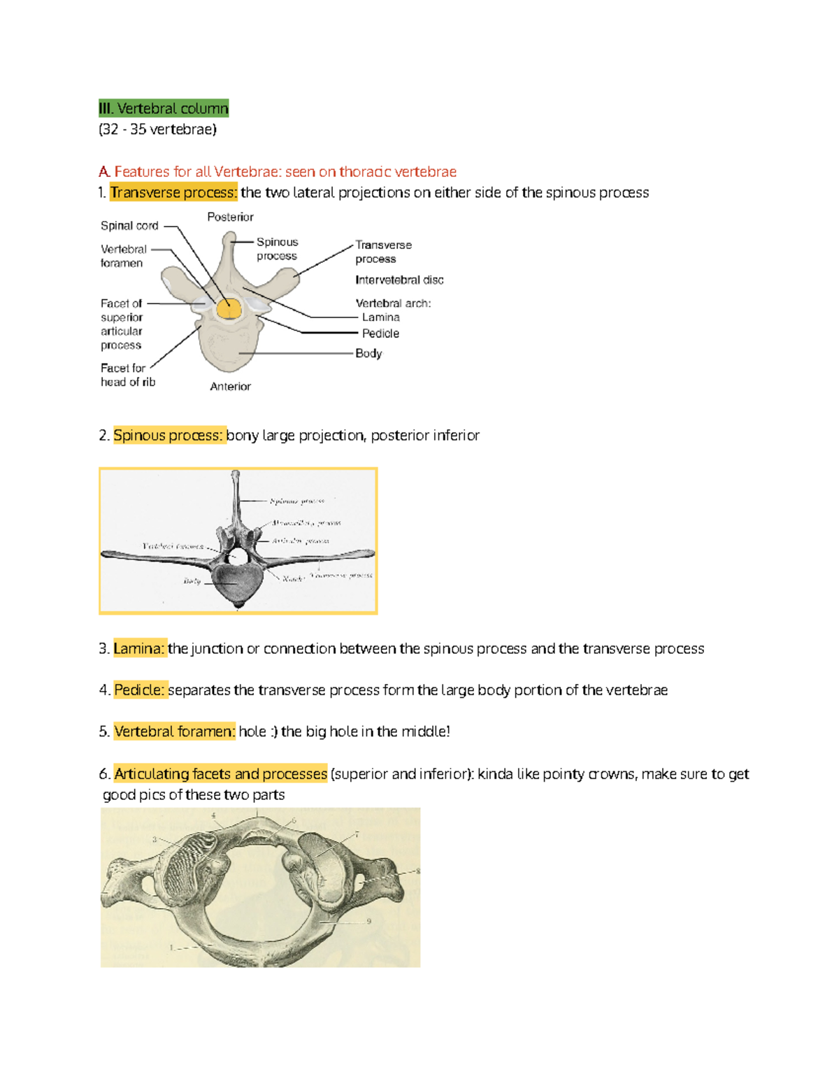 Bio121.4vc - Google Docs - III. Vertebral column(32 - 35 vertebrae) A ...