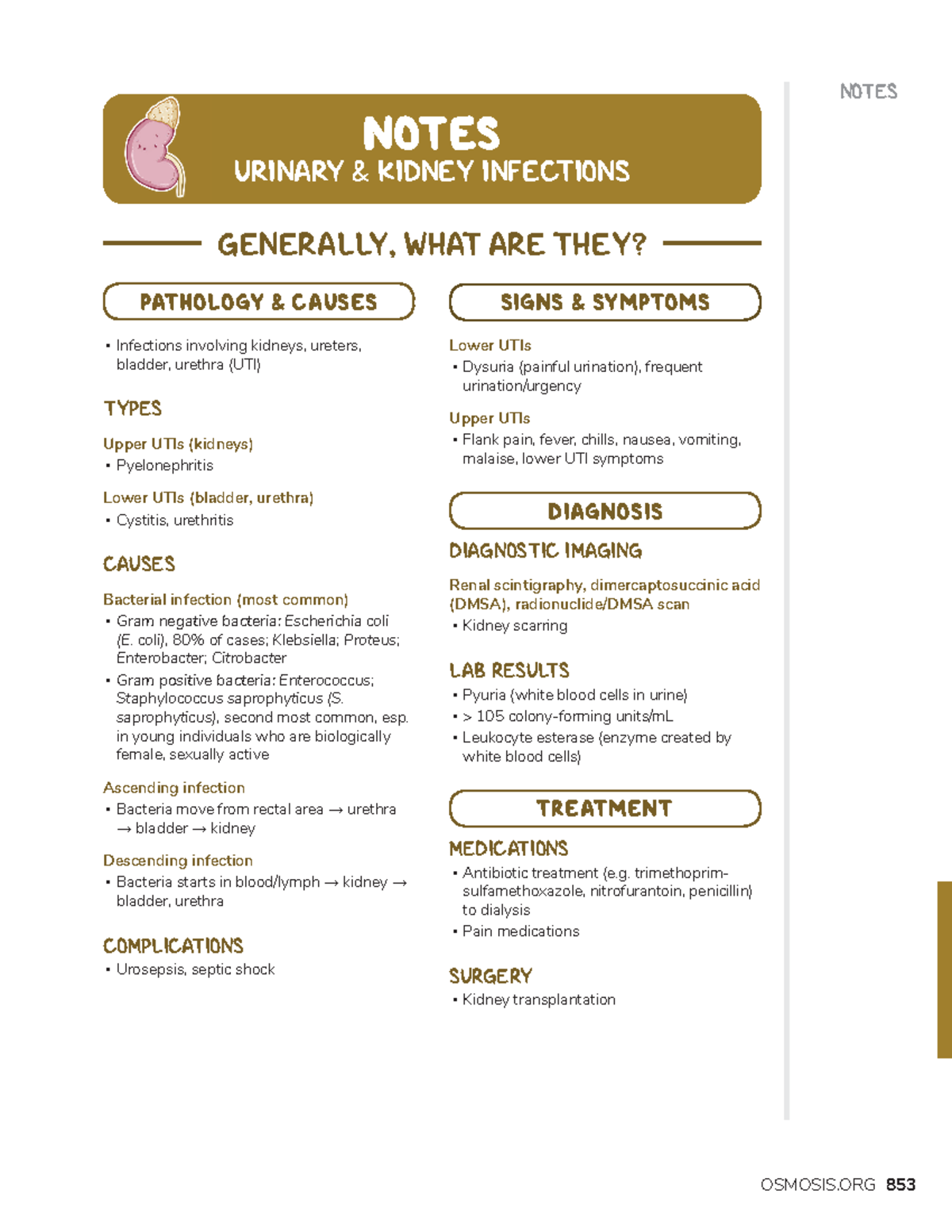 Urinary and kidney infections - NOTES NOTES URINARY & KIDNEY INFECTIONS ...