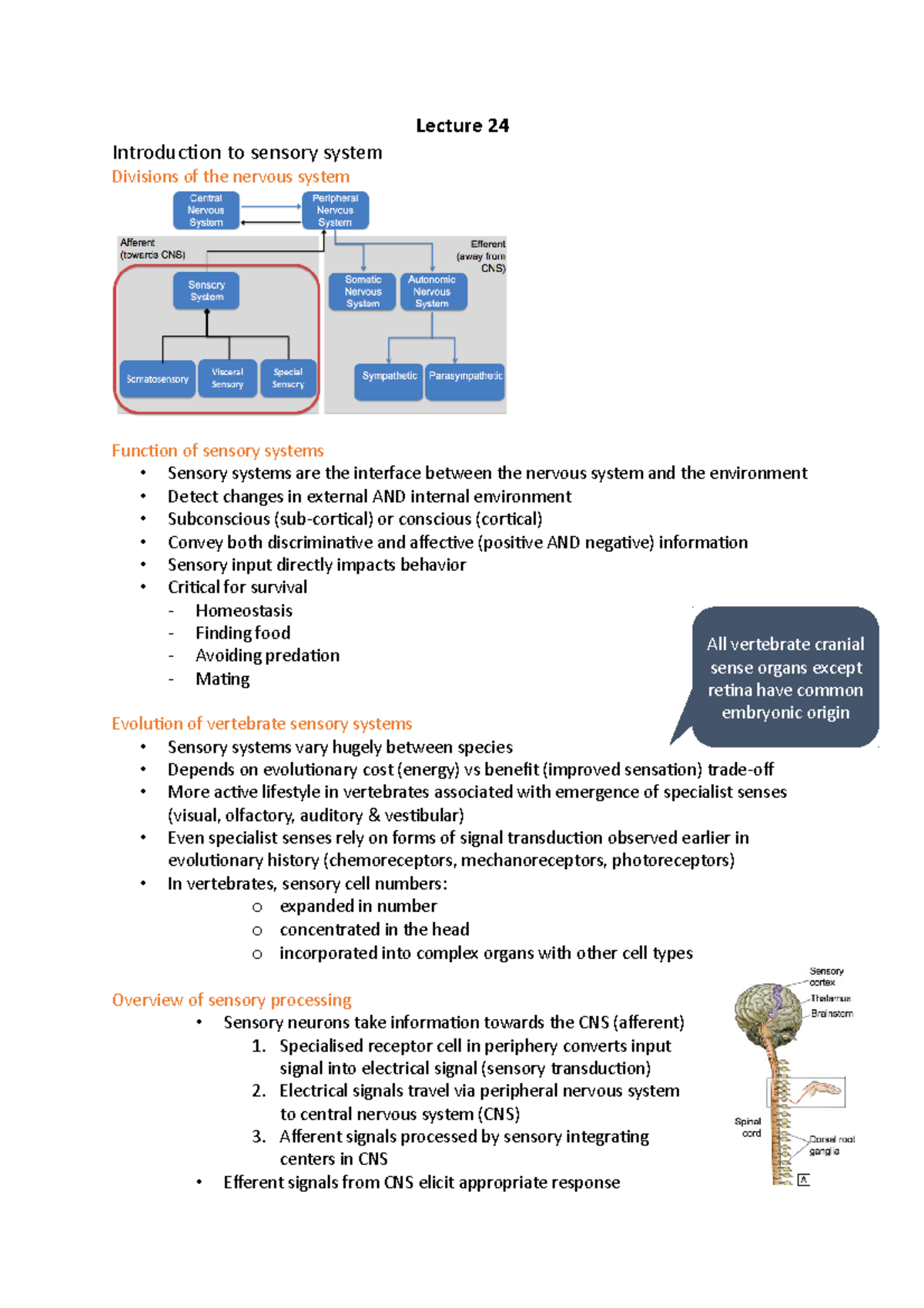 BMS107 part 3 - Lecture 24 Introduction to sensory system Divisions of the nervous system ...