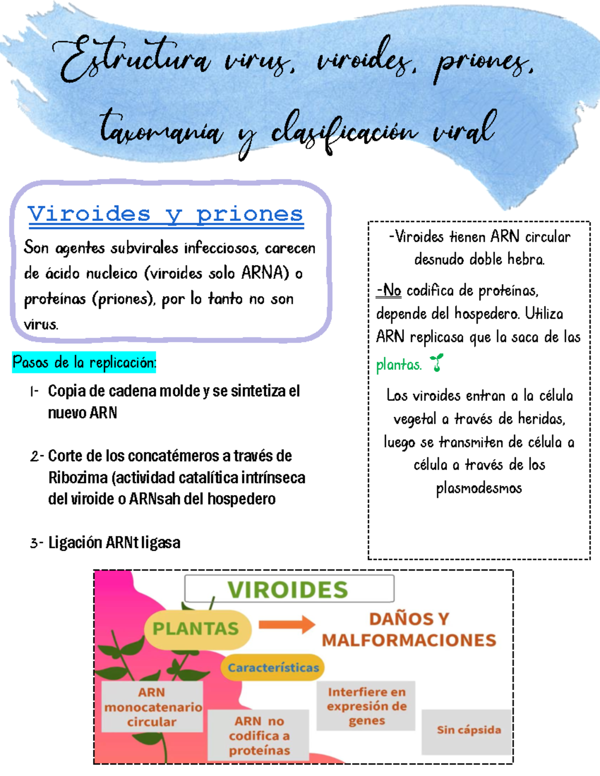 Virologia 2 - .... - Viroides y priones Viroides tienen ARN circular ...
