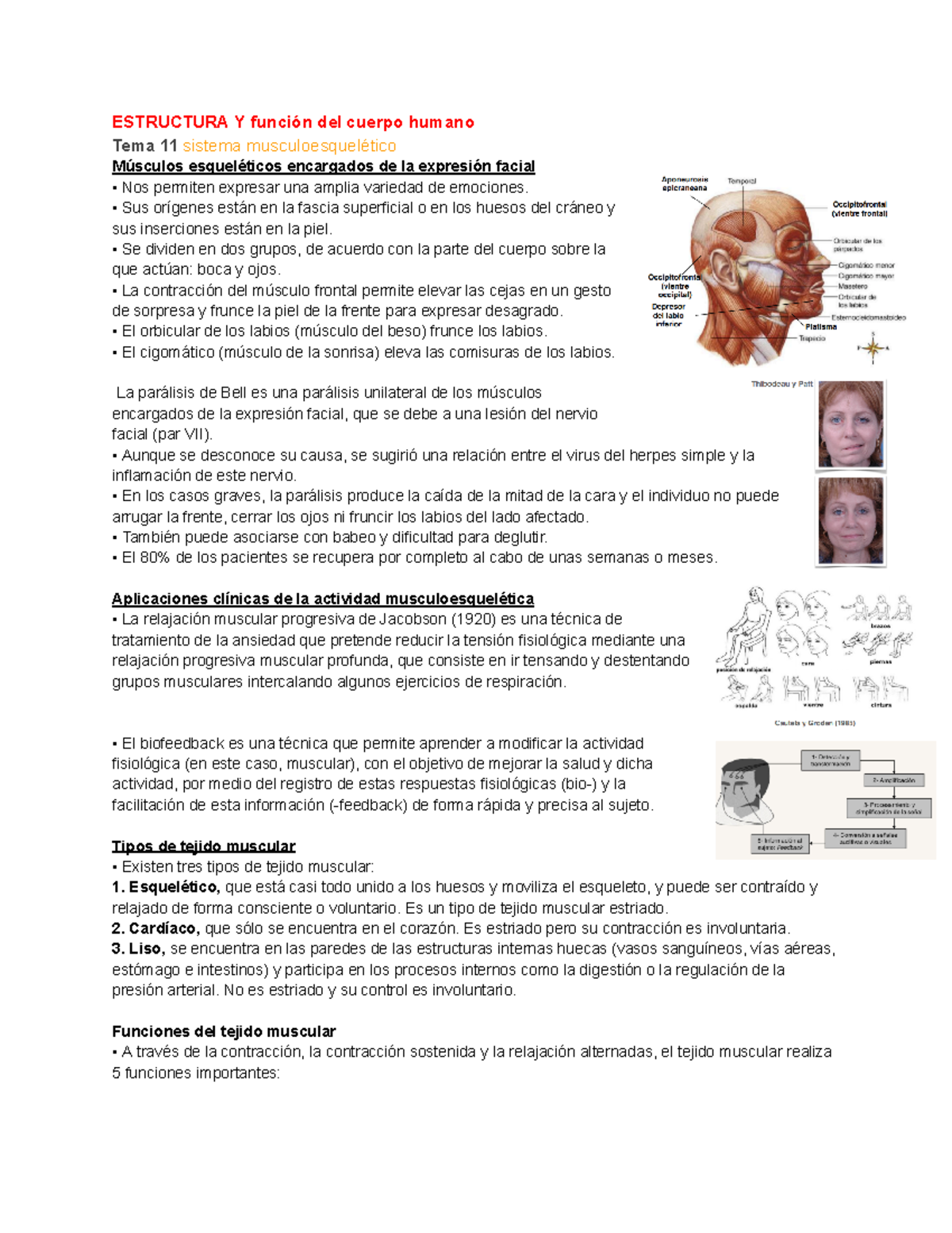 E.F.C.H Tema 11 - contenido completo - ESTRUCTURA Y función del cuerpo ...