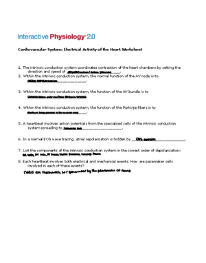 Cardiovascular IP Arterial+Baroreceptor+Reflex Worksheet ...