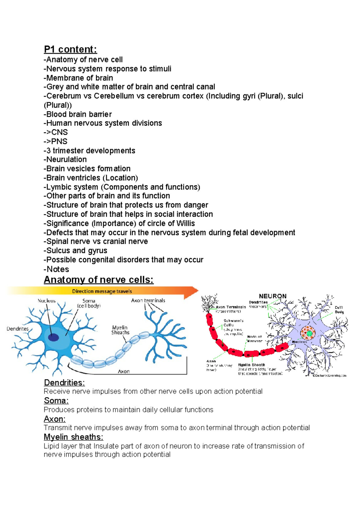 Neurobiology lecture 1 notes - P1 content: -Anatomy of nerve cell ...