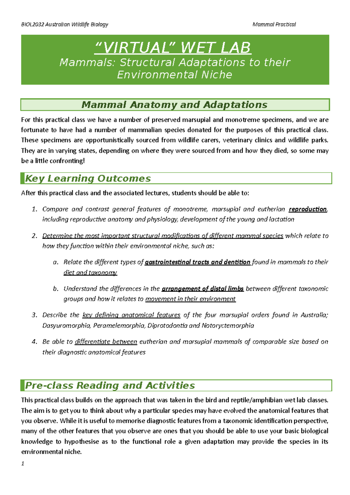 BIOL2032 Mammal Practical Class 2020 - “VIRTUAL” WET LAB Mammals ...