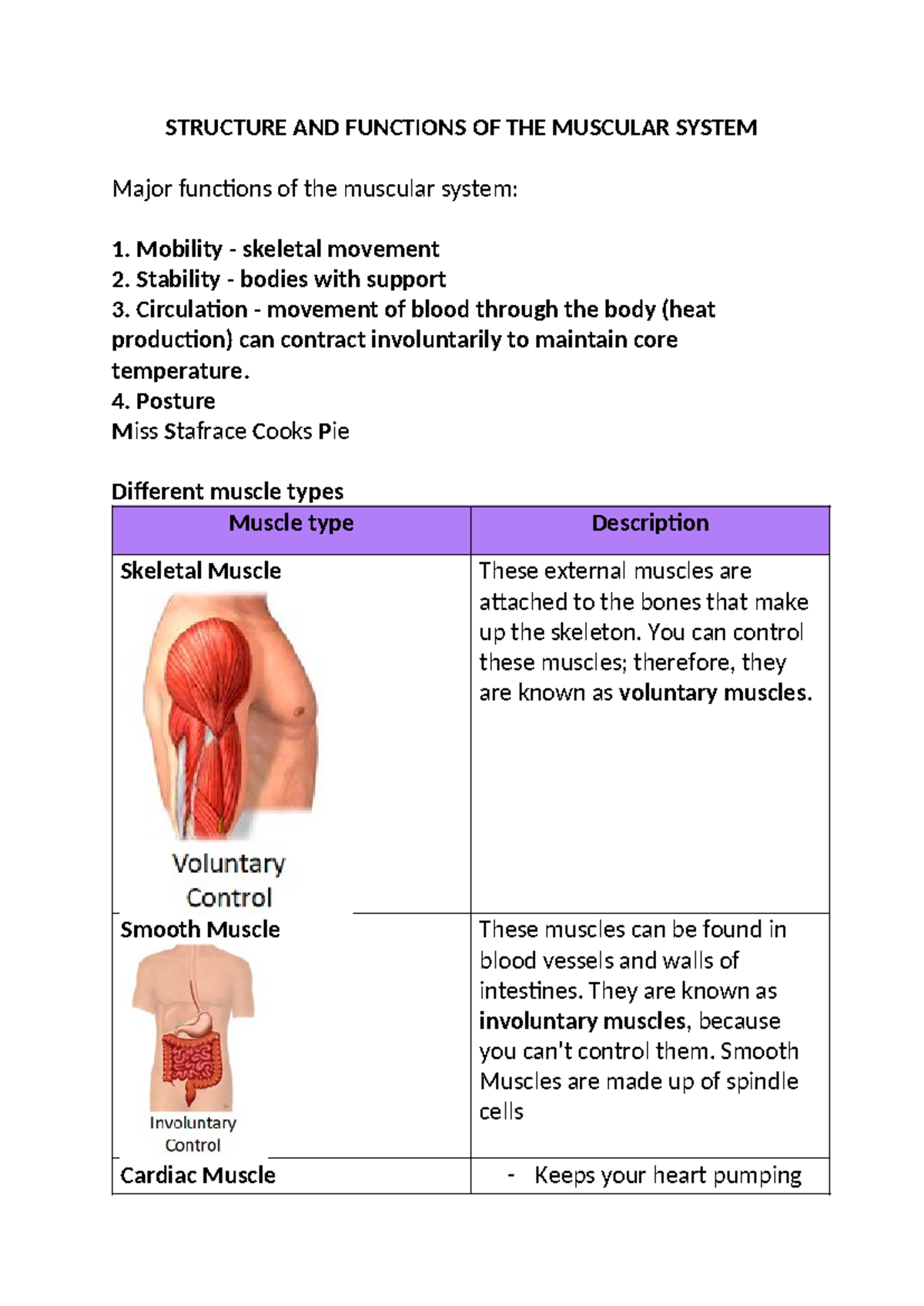 Structure AND Functions OF THE Muscular System - STRUCTURE AND FUNCTIONS OF THE MUSCULAR SYSTEM ...