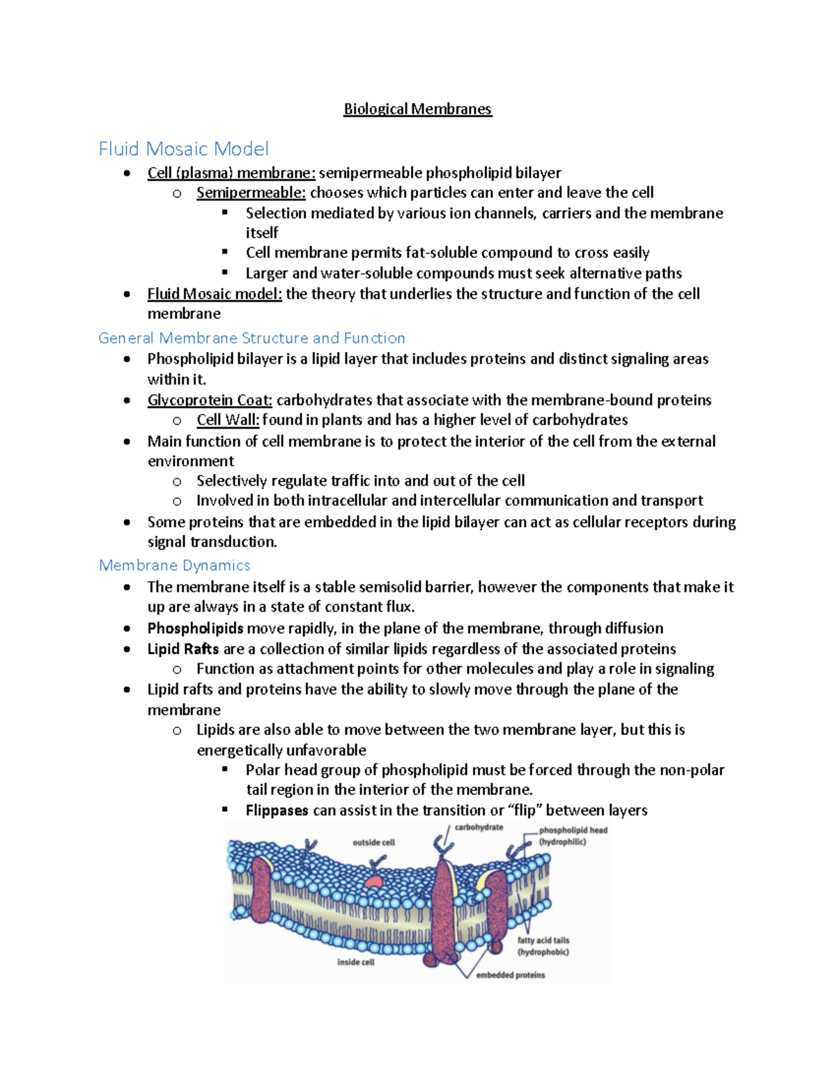 Biological Membranes - Ppt - Biological Membranes Fluid Mosaic Model ...