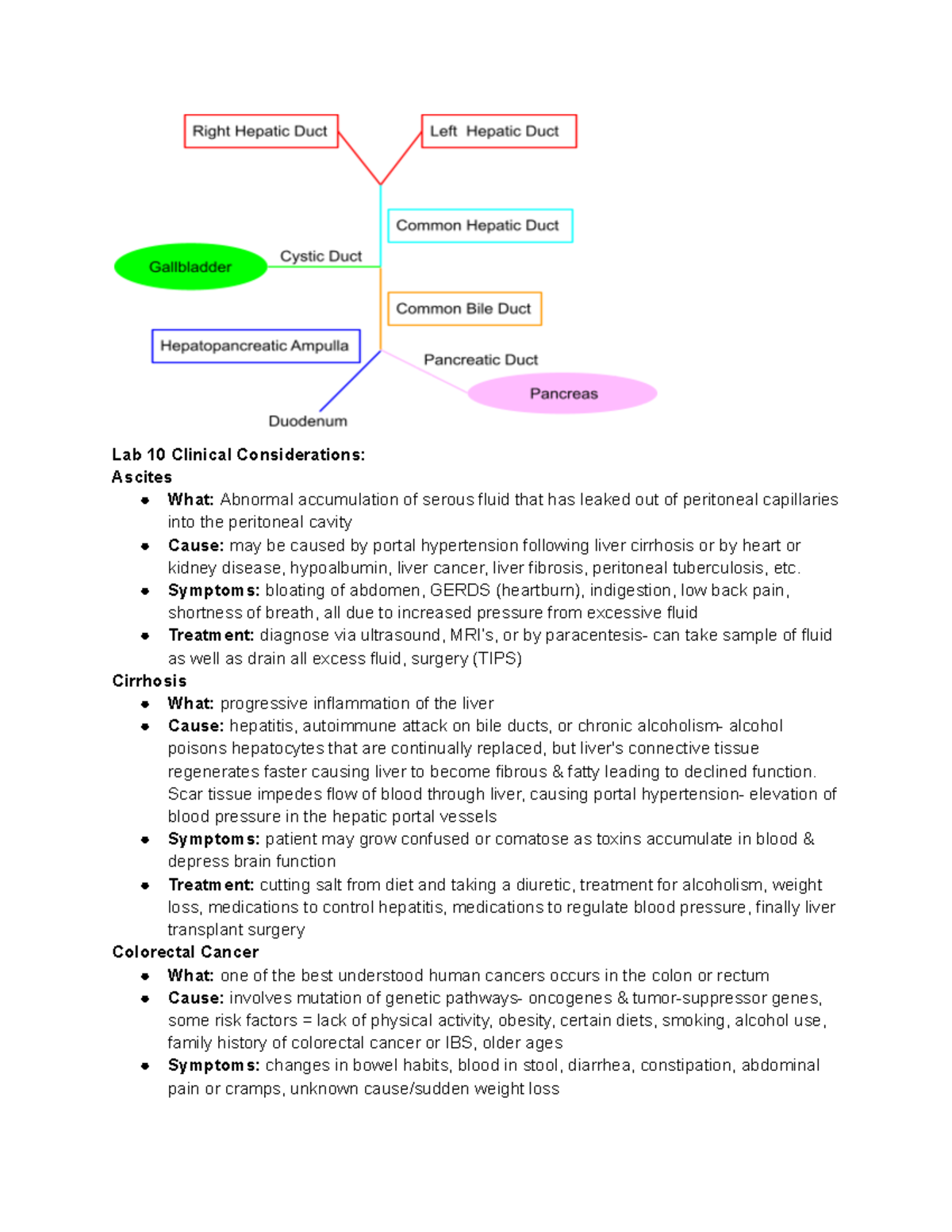 UNL BIOS 214 LAB-Lab 10-Digestive System Clinicals - Lab 10 Clinical ...