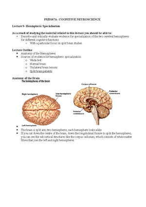 Object & Face Recognition Lecture - Objectives Introduce theories of ...