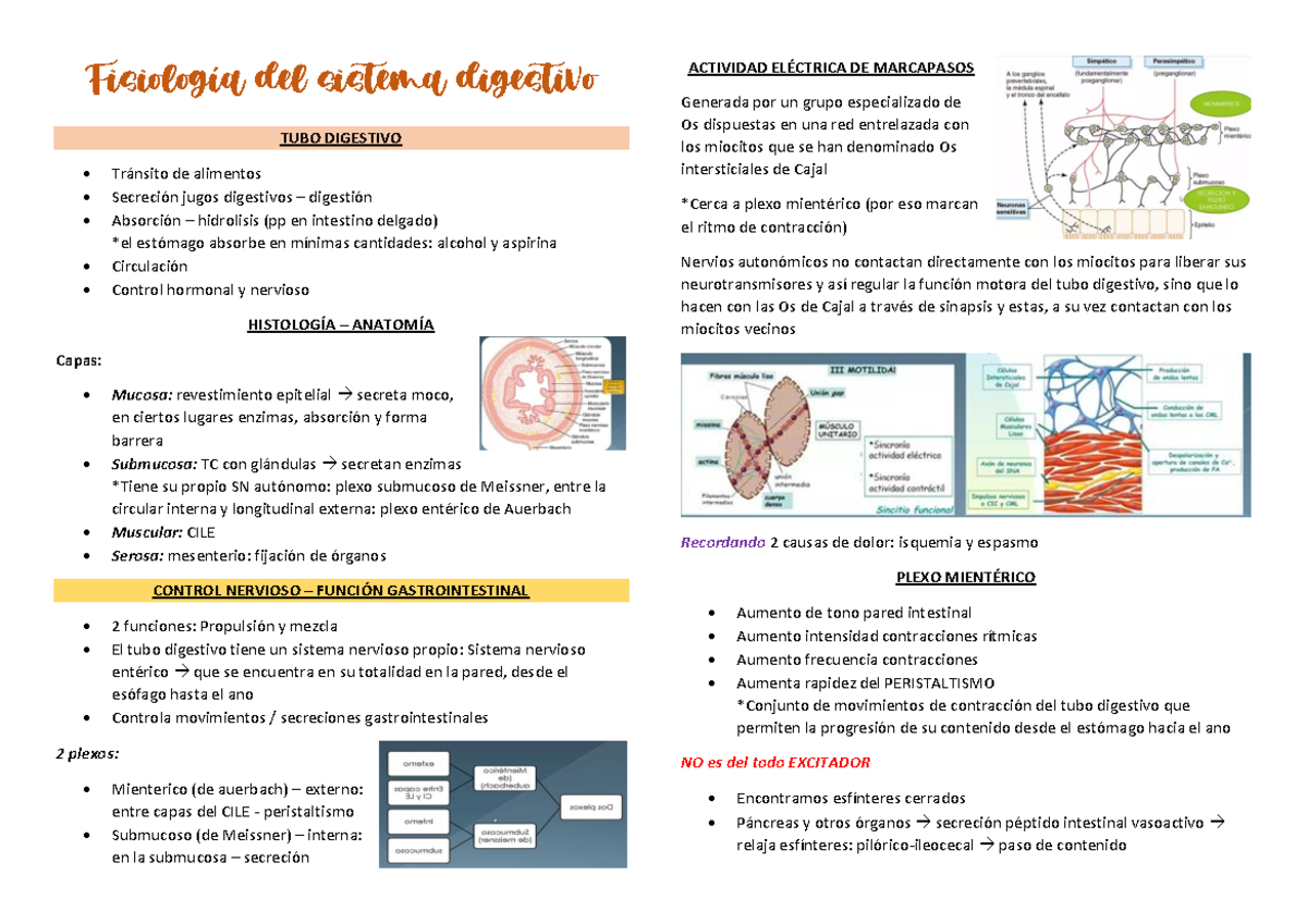 Fase 3 Apuntes Fisio II - Fisiología del sistema digestivo TUBO ...