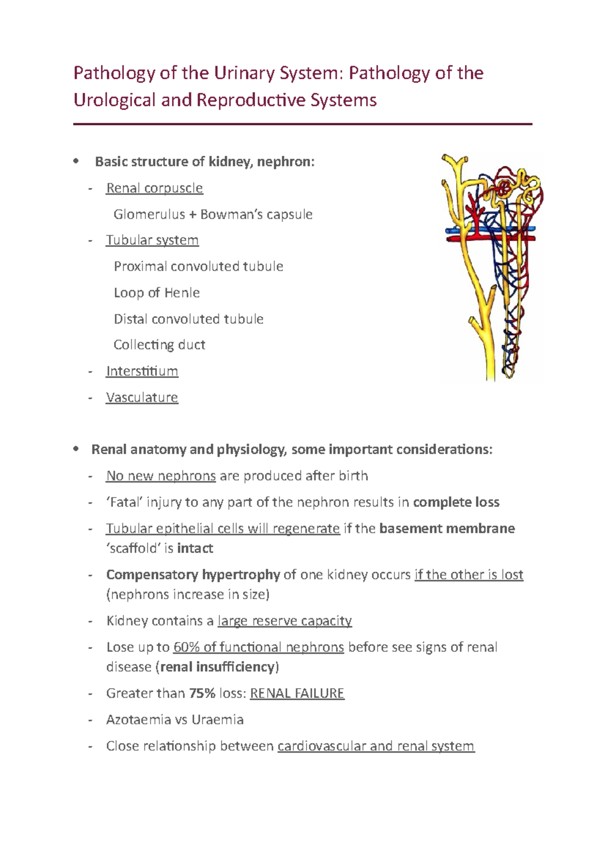 Pathology of the Urinary System PURS - Pathology of the Urinary System ...