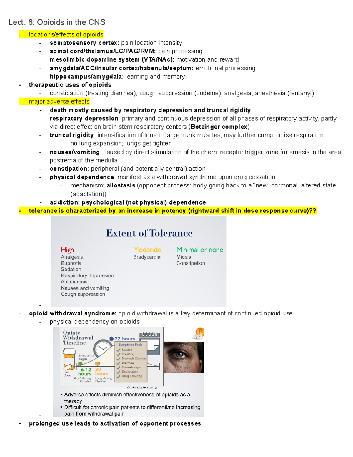 N Eurosc C177 Lecture 6 Opioids in the CNS - Lect. 6: Opioids in the CNS locations/effects of ...