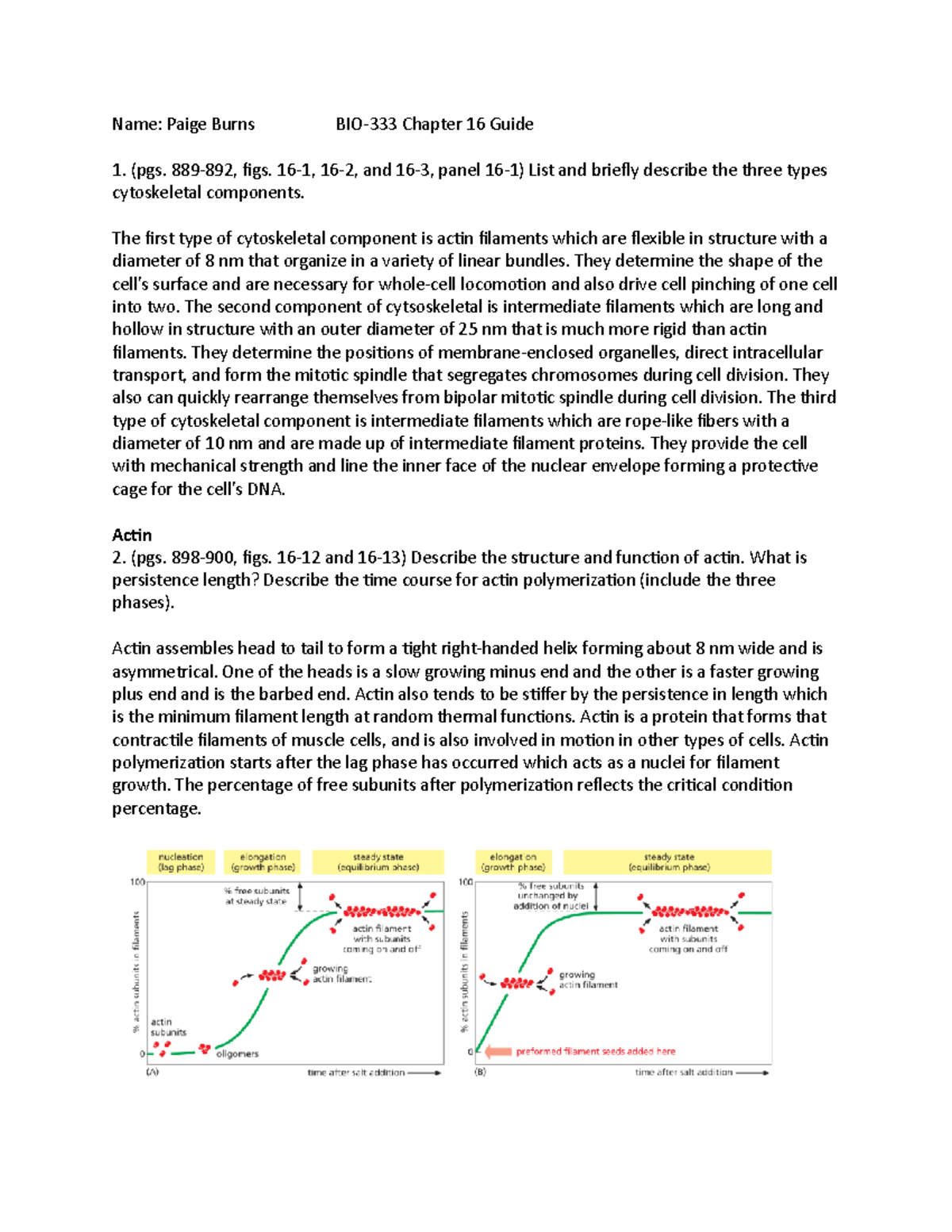 BIO-333 CH16 Guide-SM - Study guides - Name: Paige Burns BIO-333 ...