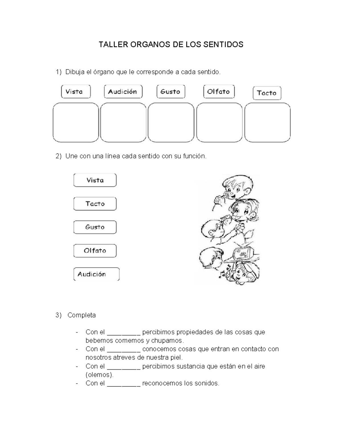 Taller Organos DE LOS Sentidos - TALLER ORGANOS DE LOS SENTIDOS 1 ...