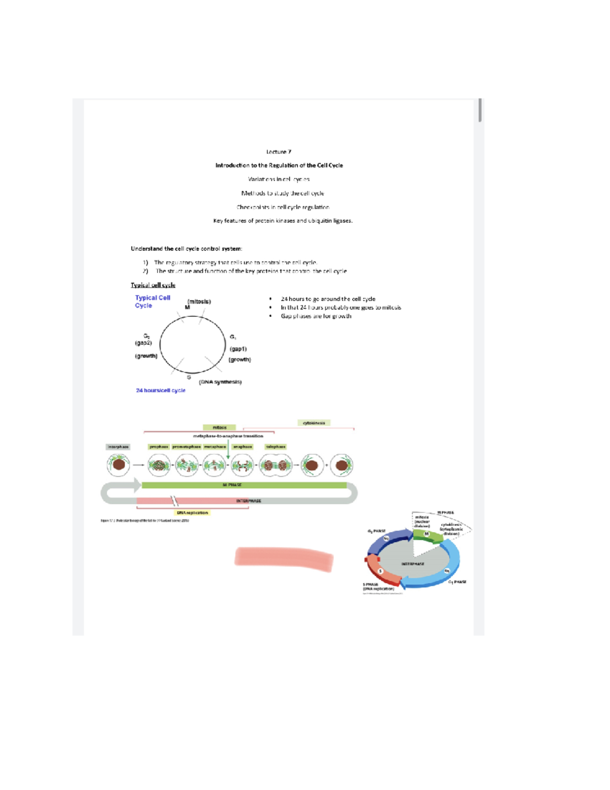 Document - Lecturee - C900 - Studocu