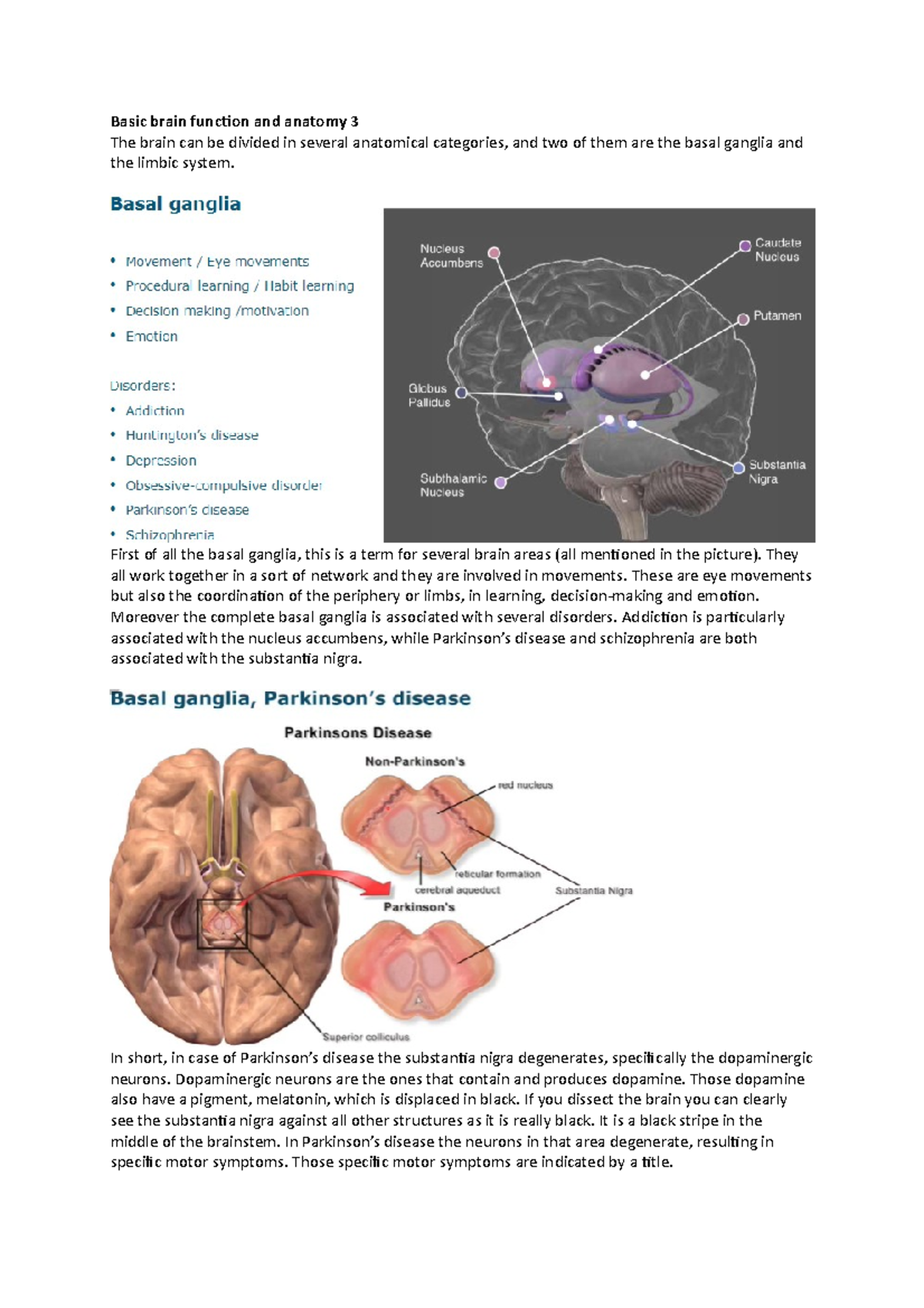 Knowledge clip basic brain function and anatomy 3 - Basic brain ...