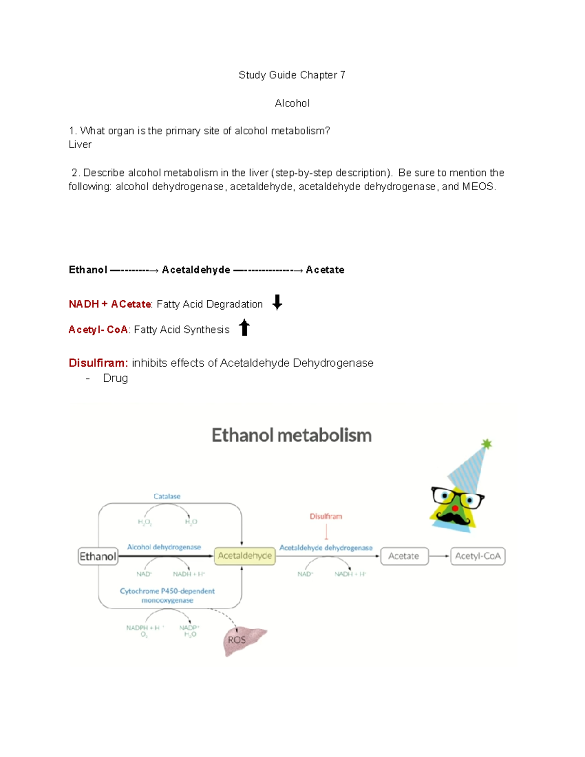 Ch. 7- Alcohol Study Guide - Study Guide Chapter 7 Alcohol What organ ...