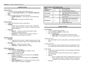 Moina- Upper- Extremity - UPPER EXTREMITY (MUSCLES CONNECTING THE UPPER ...