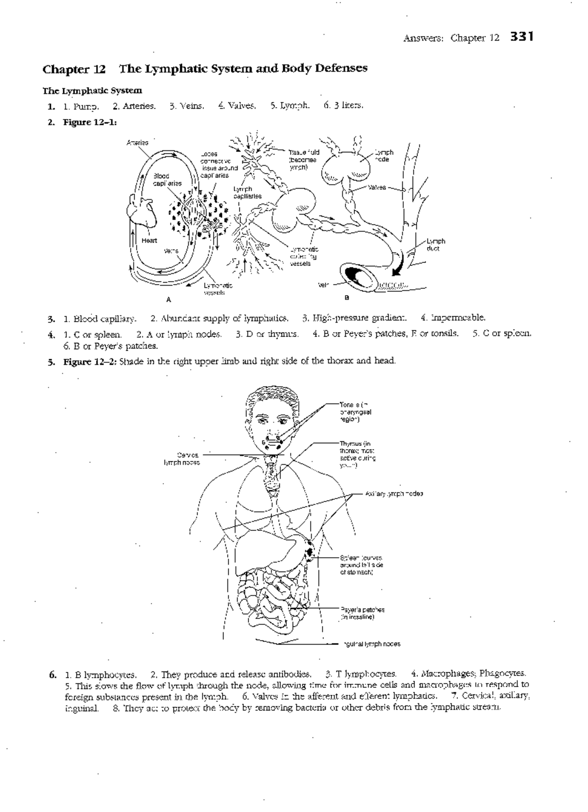 Ch12 Lymphatic System Answers - Answers: Chapter 12 331 Chapter 12 The ...