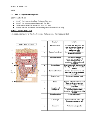 LABS BIOS251 Online Labs Week 4 Microscopy Lab - Name: OL Lab 4: Microscopy Learning Objectives ...