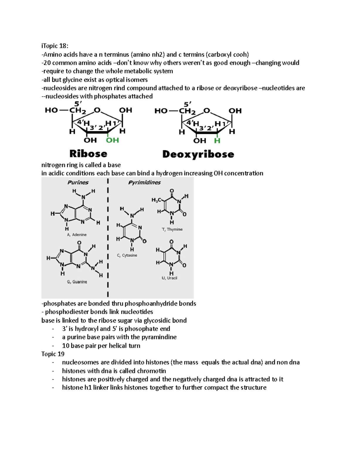 Summary, Biochemistry - iTopic 18: acids have a n terminus (amino nh2 ...