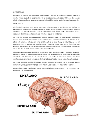 Epidemias - MINISTERIO DE SALUD DE LA NACION DIRECCION NACIONAL DE ...