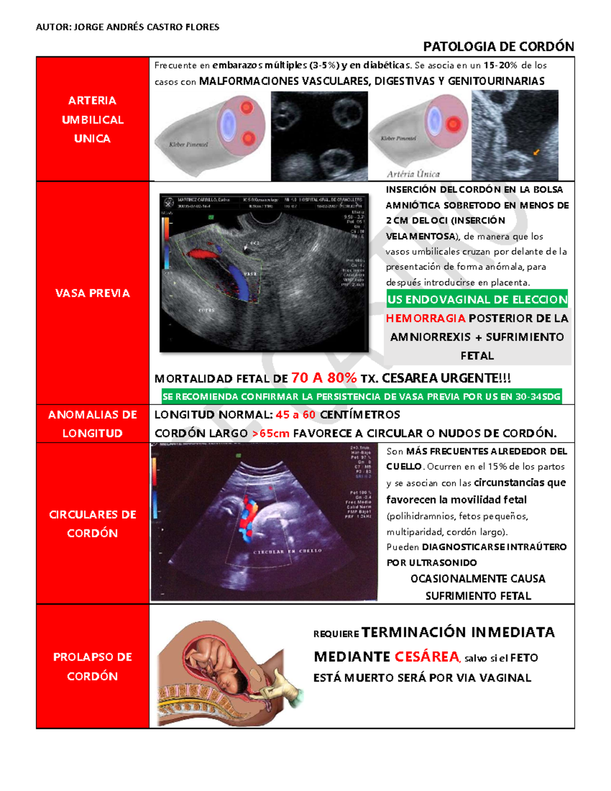 Patologia del cordon umbilical - PATOLOGIA DE CORDÓN ARTERIA UMBILICAL ...