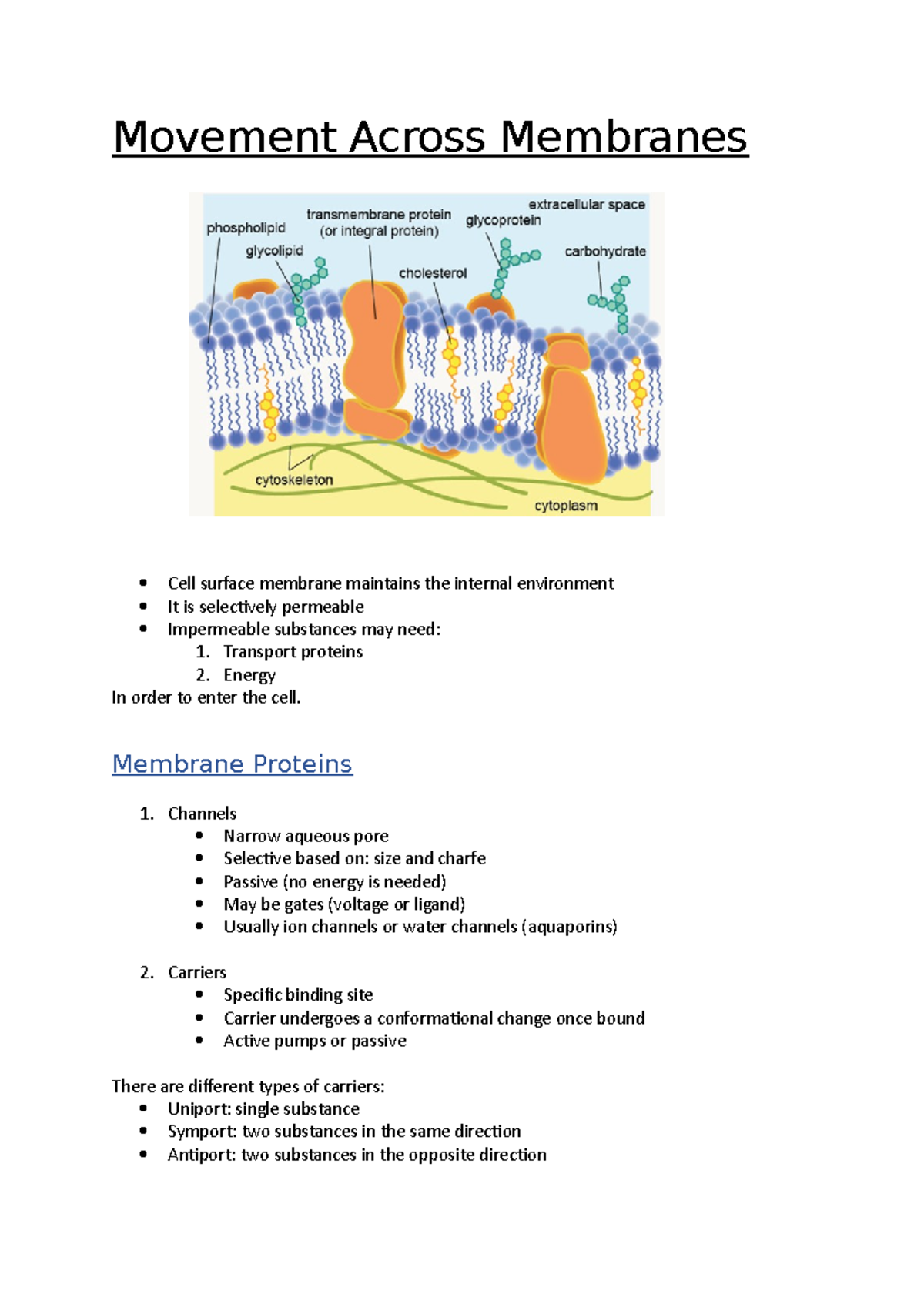 Movement Across Membranes - Transport proteins 2. Energy In order to ...