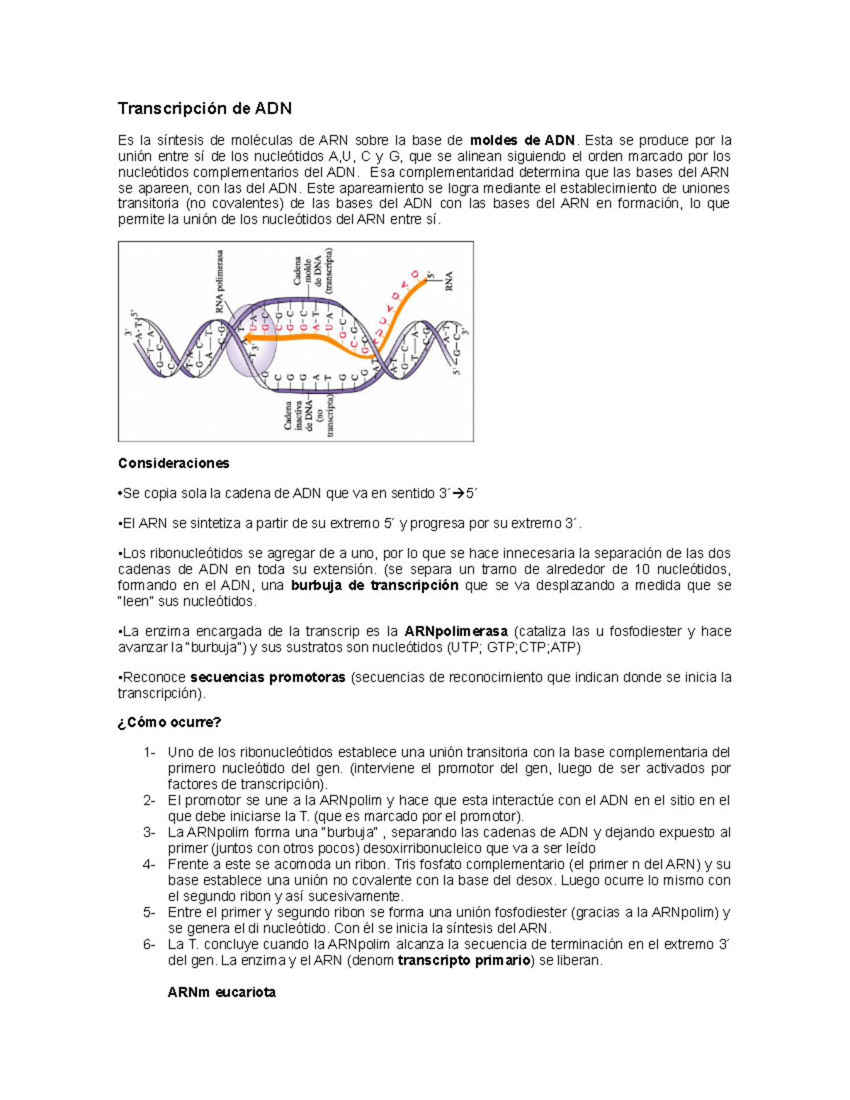 Transcripción de ADN - en este resumen se explica como el ADN se ...