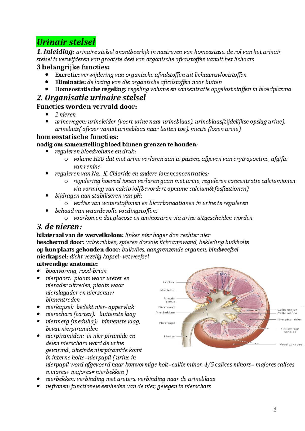 Samenvatting anatomie - Urinair stelsel 1. Inleiding: urinaire stelsel ...