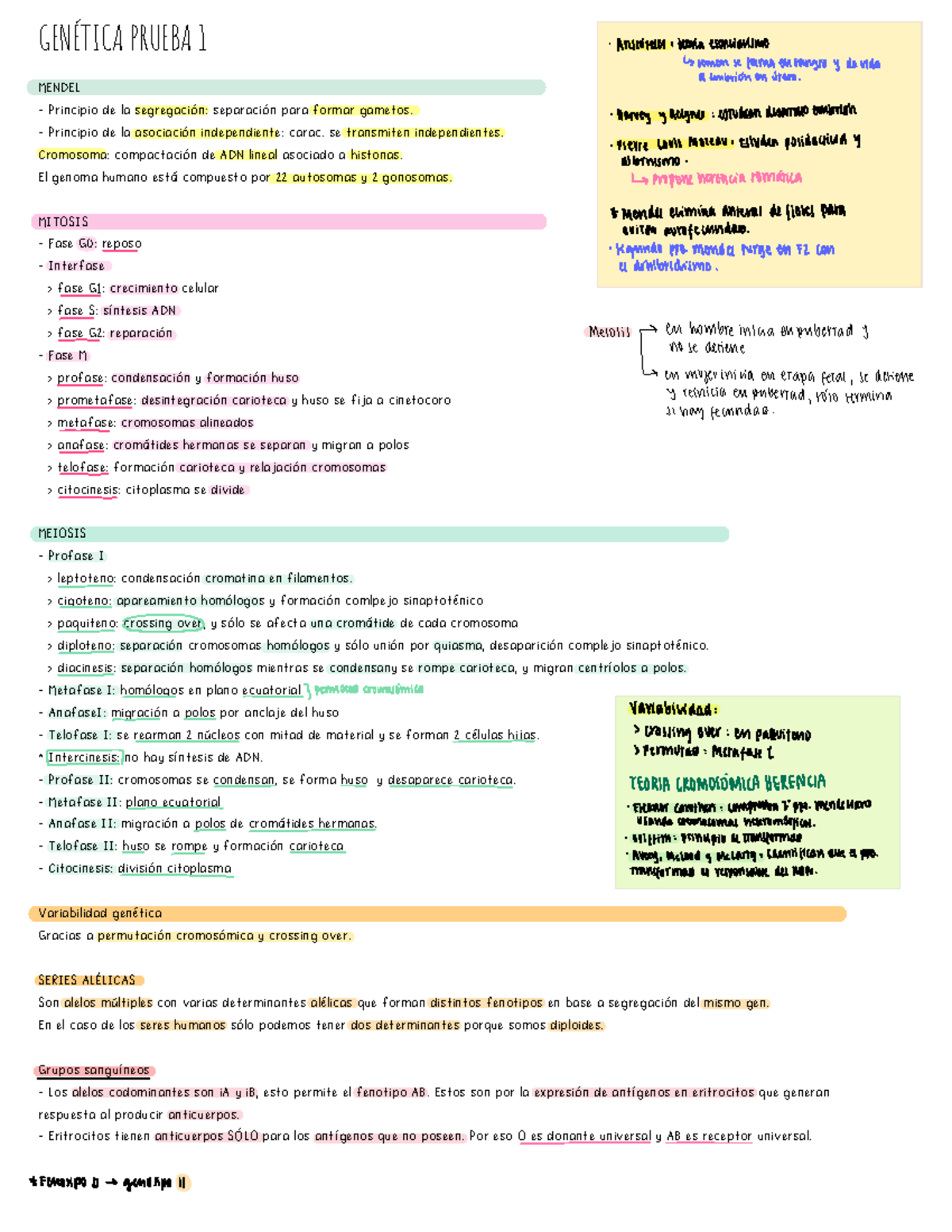 Genética Mendeliana - GENÉTICA PRUEBA 1 MENDEL Principio de la ...
