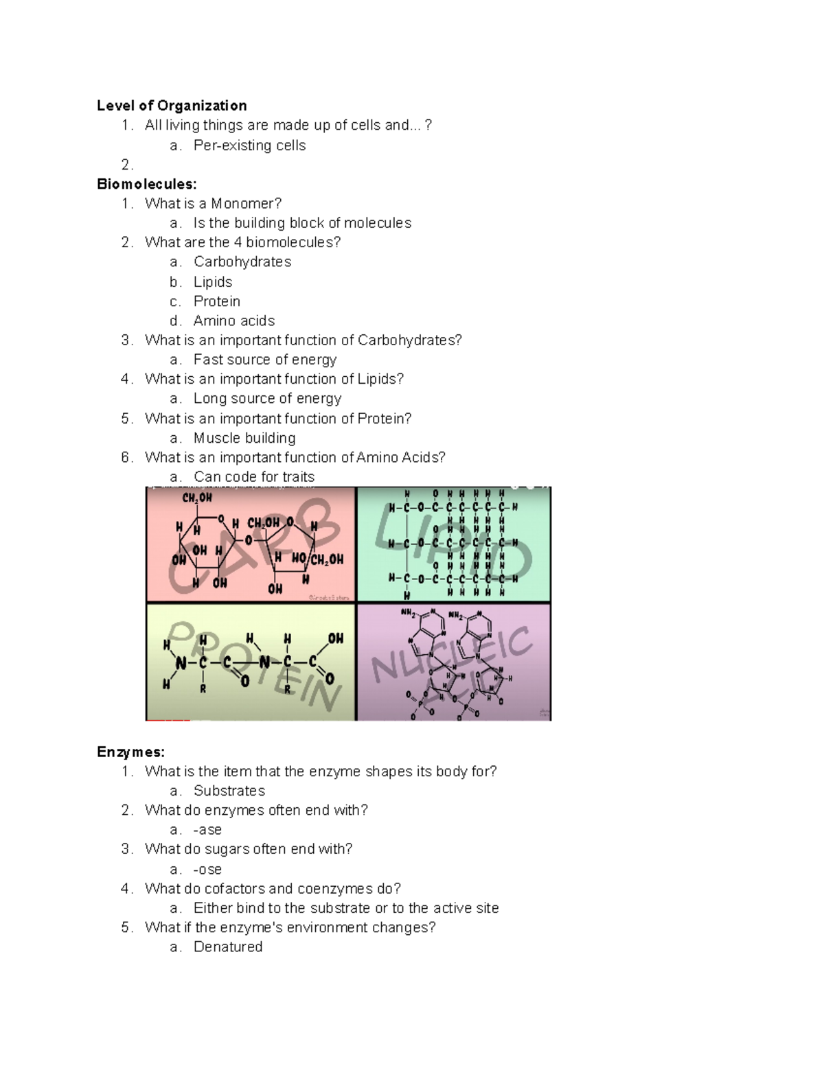Biology Review - Level of Organization 1. All living things are made up ...