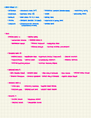AP Notes Exercise 1 - Body Organization and Terminology - 1/11/ A E P ...