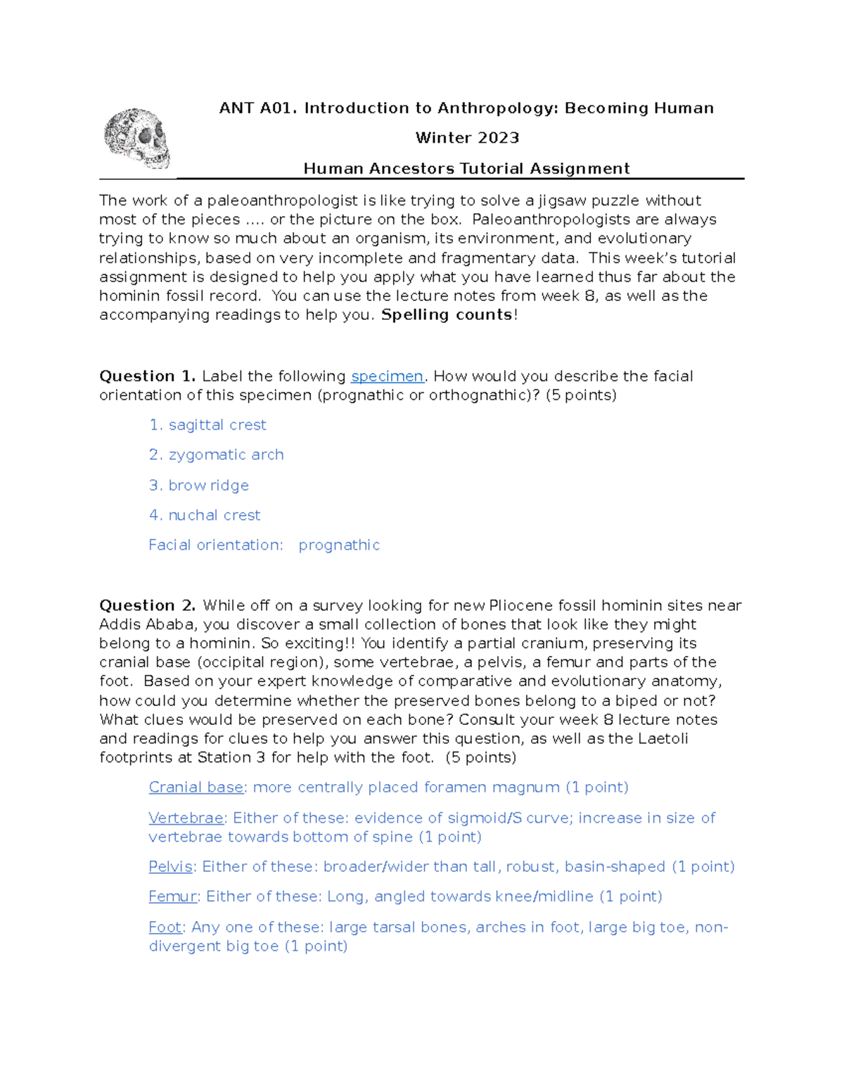 Tutorial Assignment 3 Grading Key Ant A01 Introduction To Anthropology Becoming Human Winter