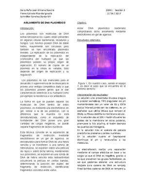P11. Reaccion DE HILL - Reporte de practicas de aislamiento de ...