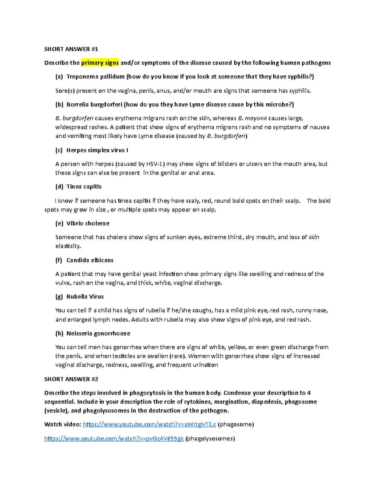 Exam 4 Short Answers - Open-ended questions for exam 4 (final exam). Mr ...