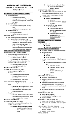 Copy of Chapter 14 Digestive System - FUNCTIONS •Ingestion - taking in ...