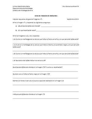 GUIA Nº 1 Ayudantia DE Genetica Mendeliana-1 - GUIA Nº 1 AYUDANTIA DE ...