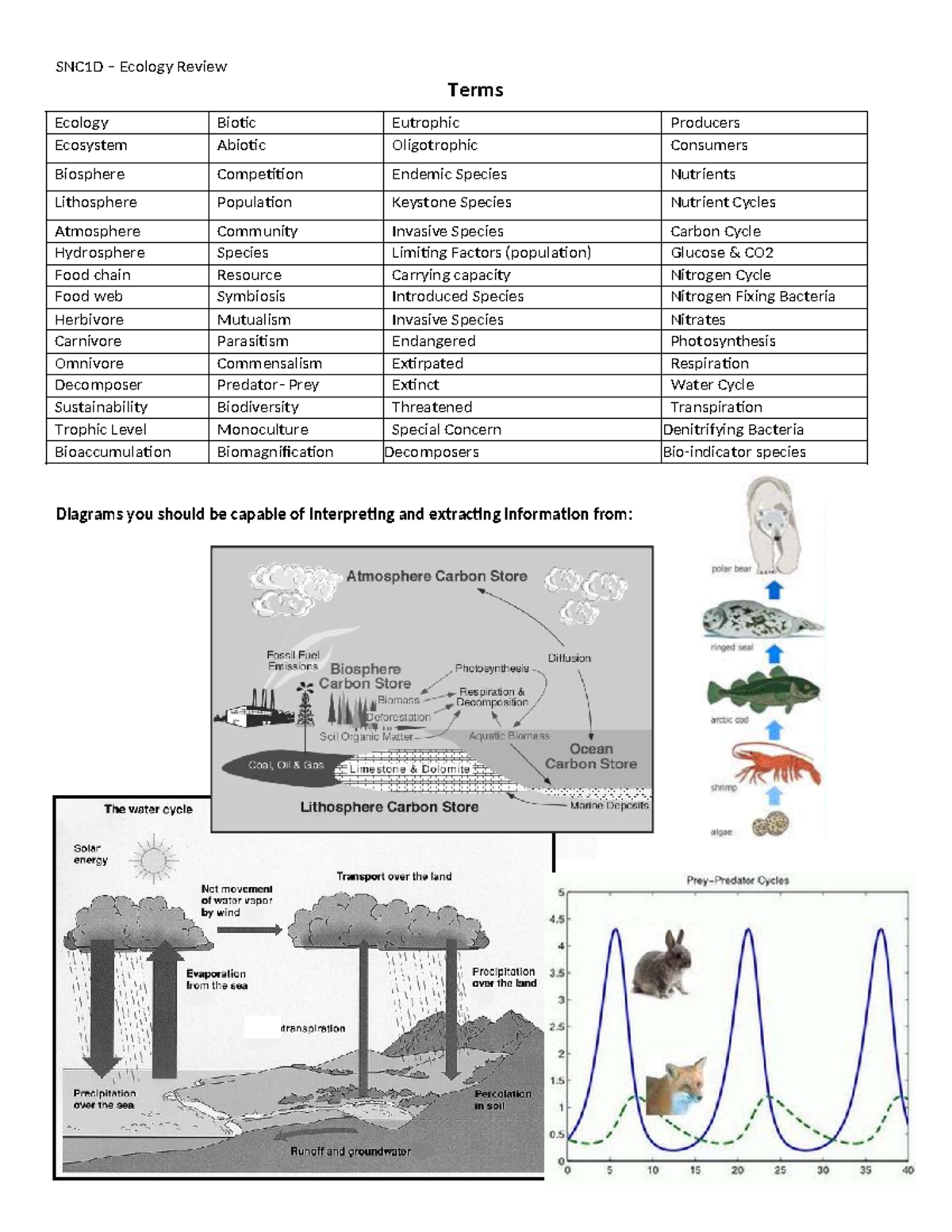 Bio-test review -2016 - bio practice test - SNC1D – Ecology Review ...