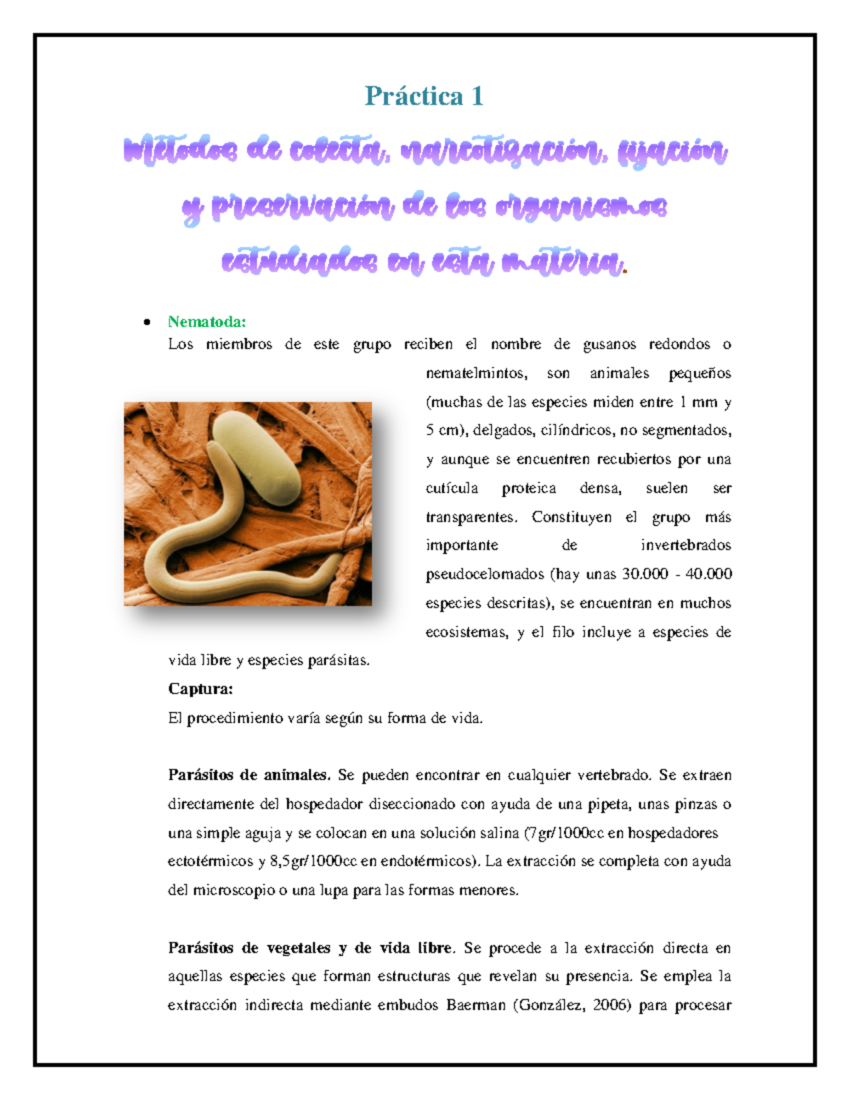 Práctica 1. protostomados II 3 - Práctica 1 . Nematoda: Los miembros de ...