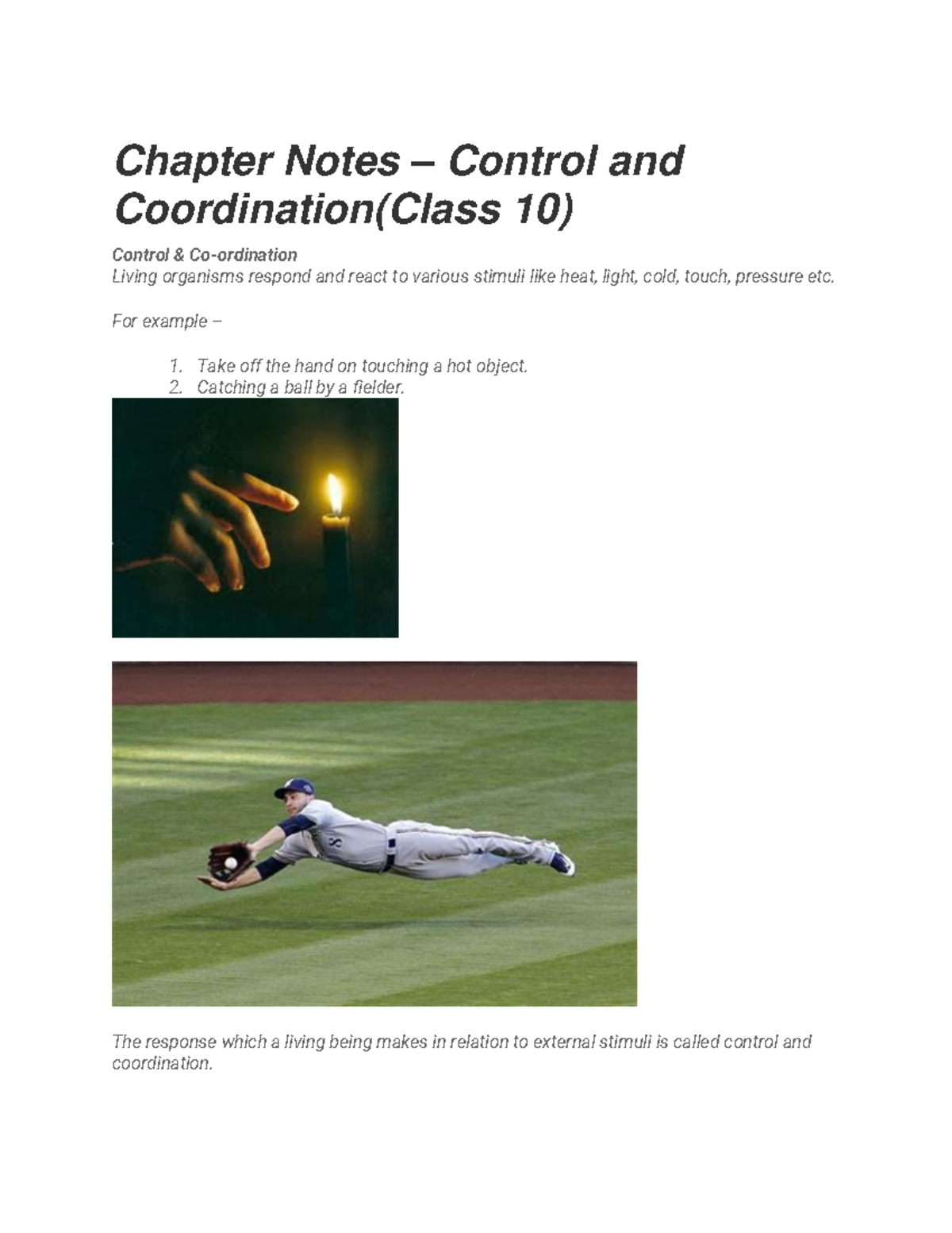 Control and cordination class 10 - Chapter Notes – Control and ...