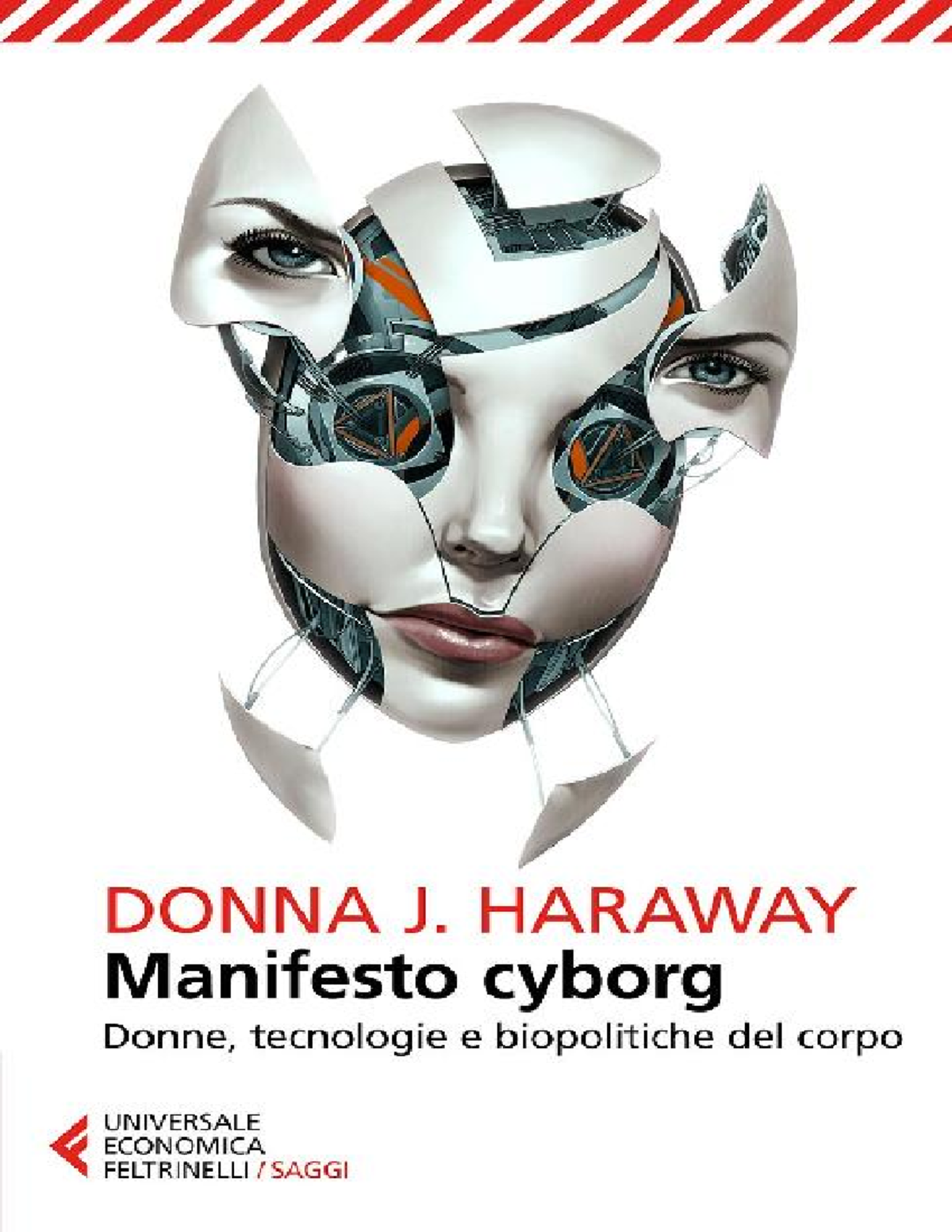 Manifesto Cyborg - Donna J. Haraway MANIFESTO CYBORG Donne, tecnologie ...