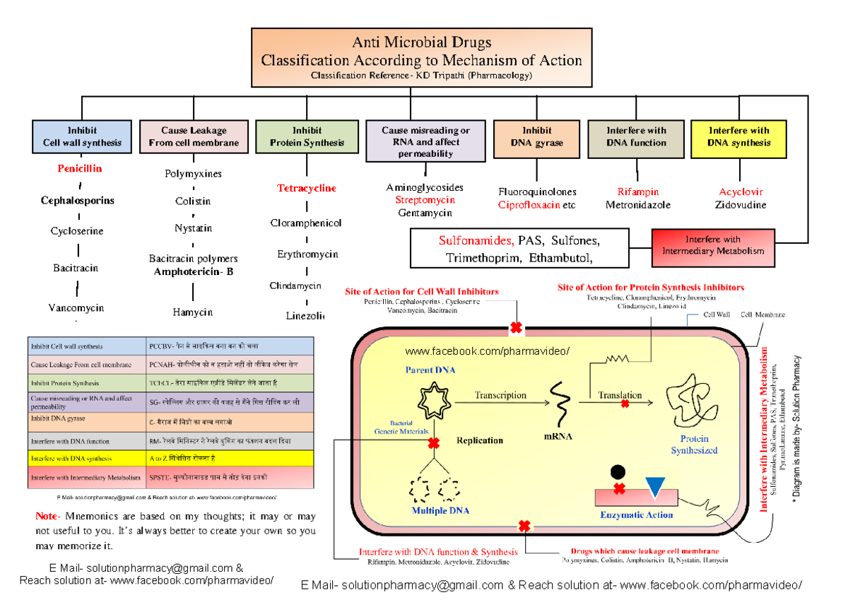Antibiotics - Anti Microbial Drugs Classification According to ...