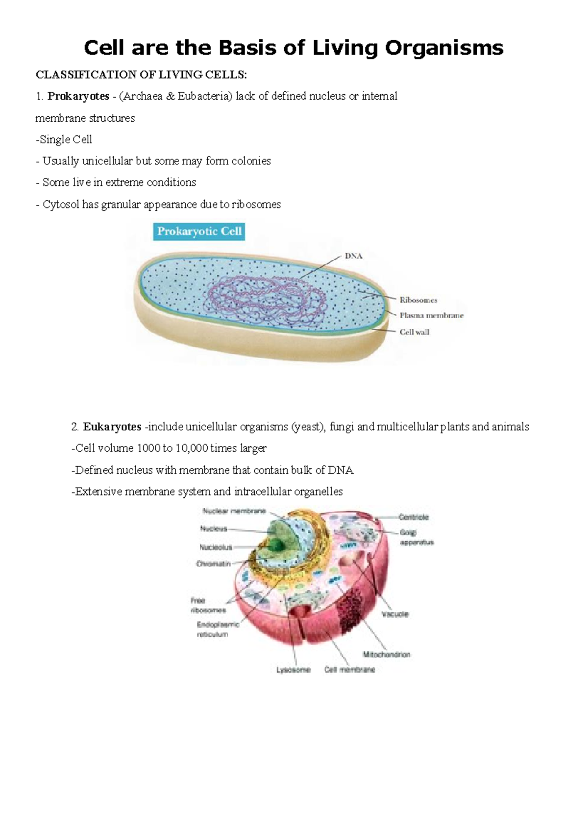 C Hapter 2 Notes - Just a study note for anatomy 1st year - Cell are ...