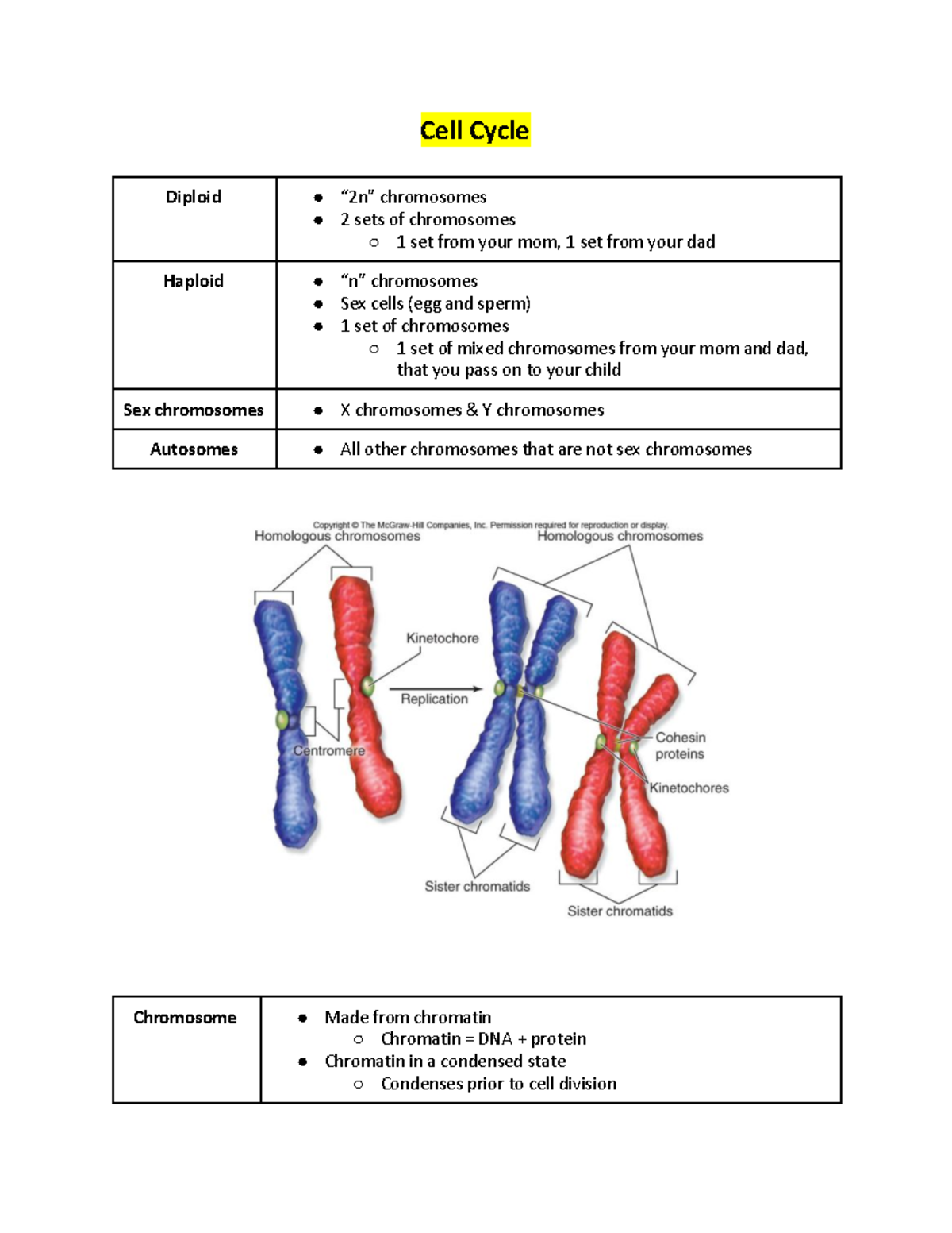 Module 9 Cell Cycle Notes - Cell Cycle Diploid ï