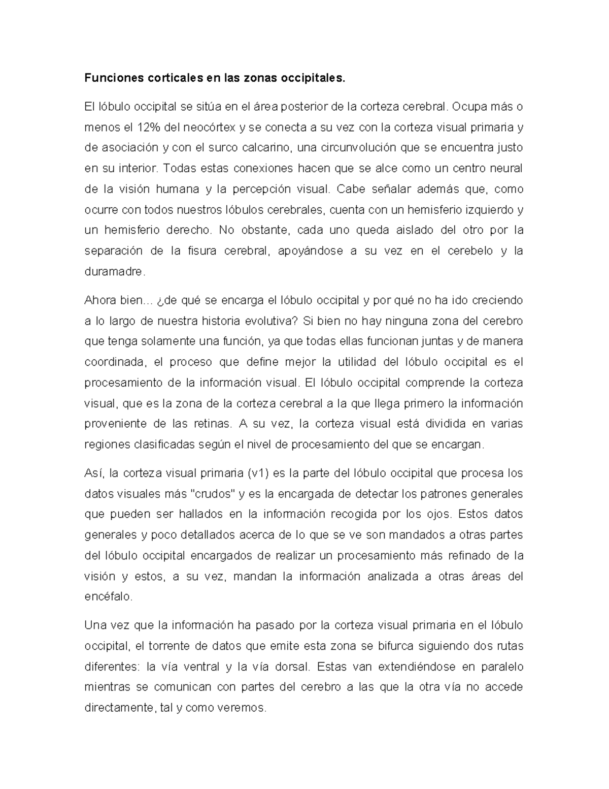 Funciones corticales - El lóbulo occipital se sitúa en el área ...