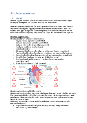 Nervesystemet Nokut - Nervesystemet Beskrive den anatomiske inndelingen av nervesystemet i ...