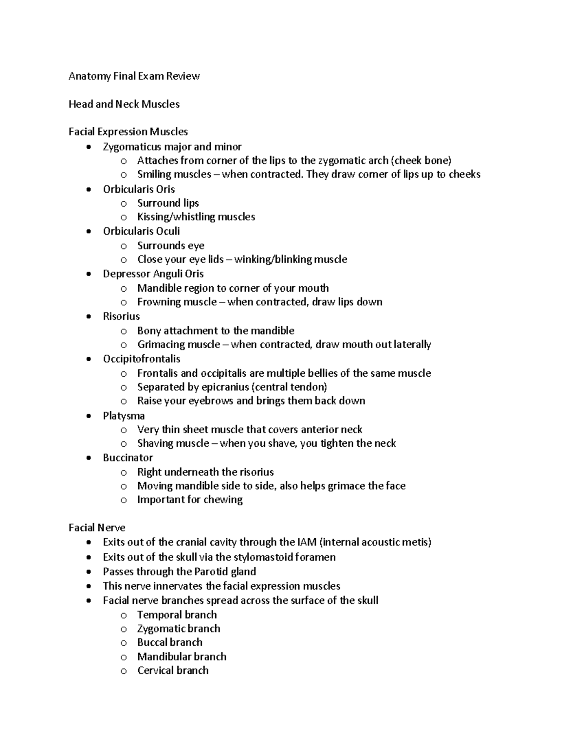 Anatomy Final Exam Review - Warning: TT: undefined function: 32 Anatomy Final Exam Review Head ...