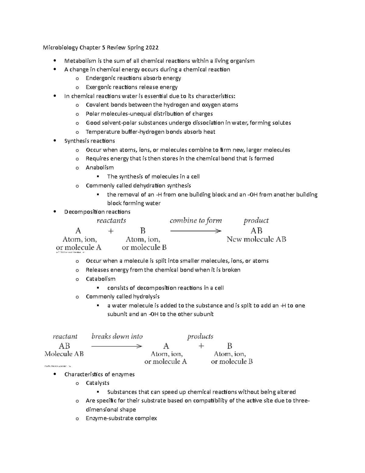 Microbiology Chapter 5 Review Spring 2022 - Microbiology Chapter 5 ...